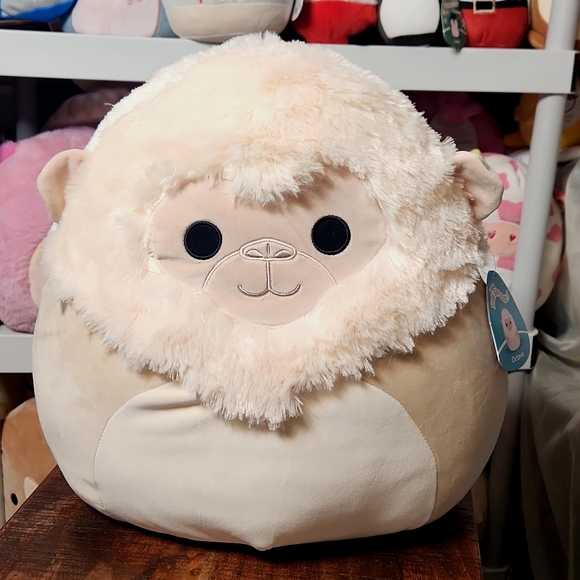 Squishmallows | Toys | Squishmallows Octave The Snow Monkey 6 | Poshmark
